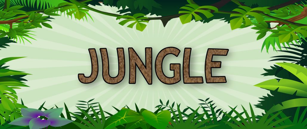 Jungle – iCatching, everything for events