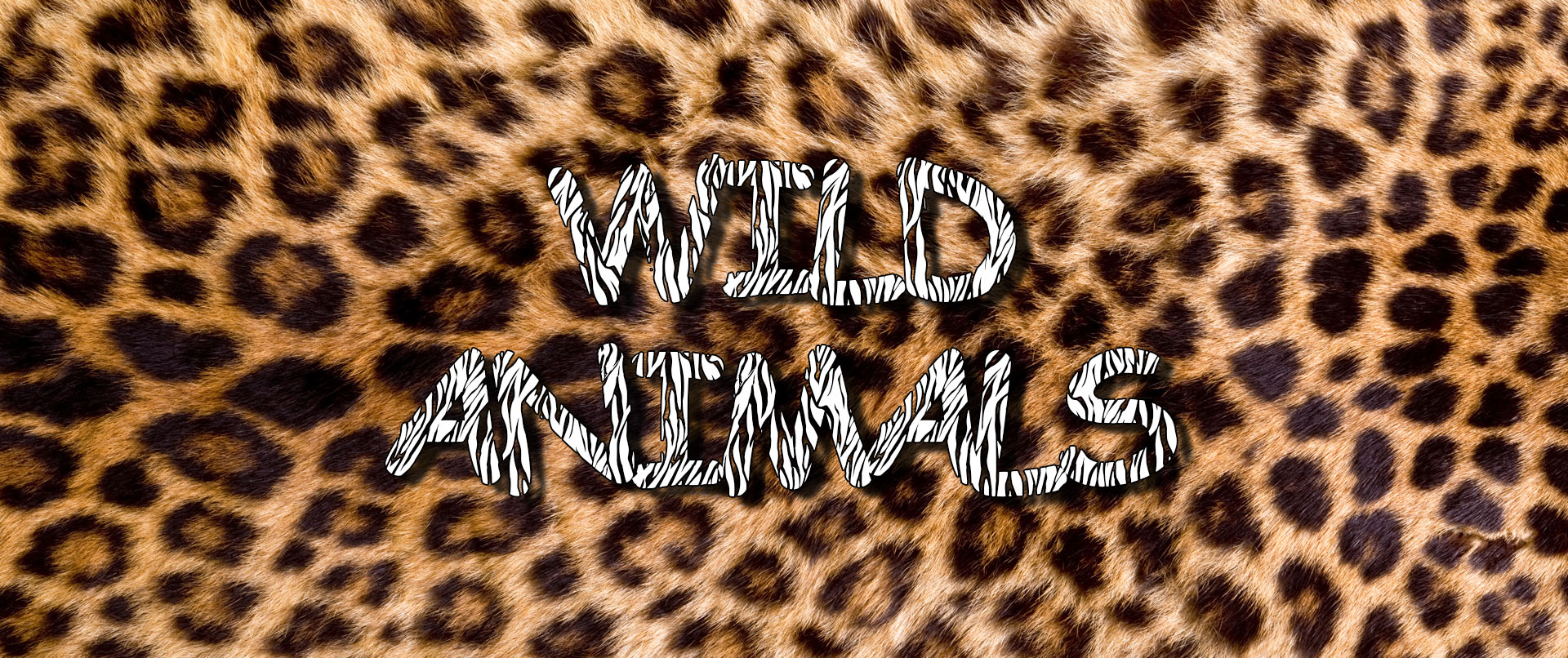 Wild Animals – iCatching, everything for events