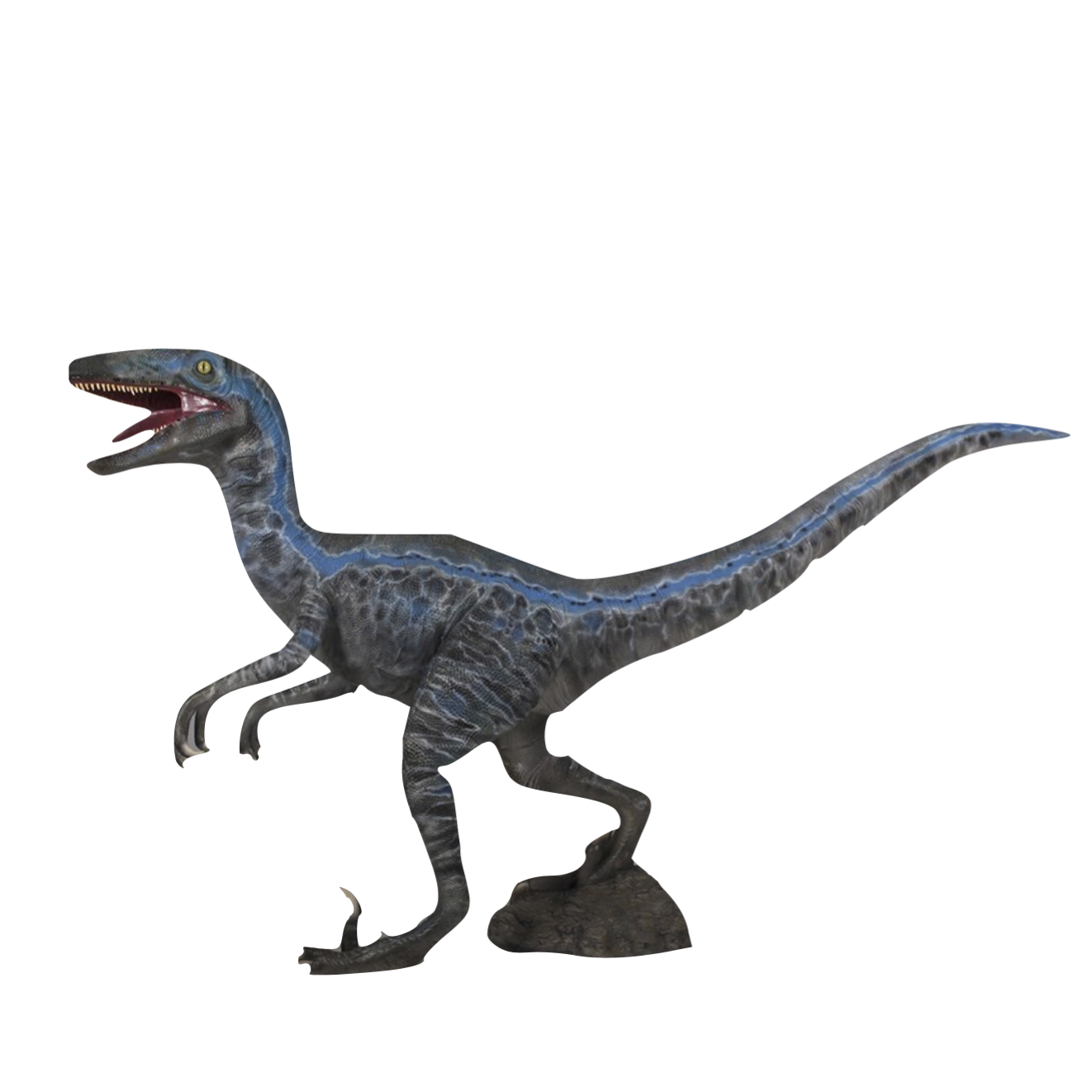 Dinosaur – Velociraptor Blue – (Vinnie) – iCatching, everything for events