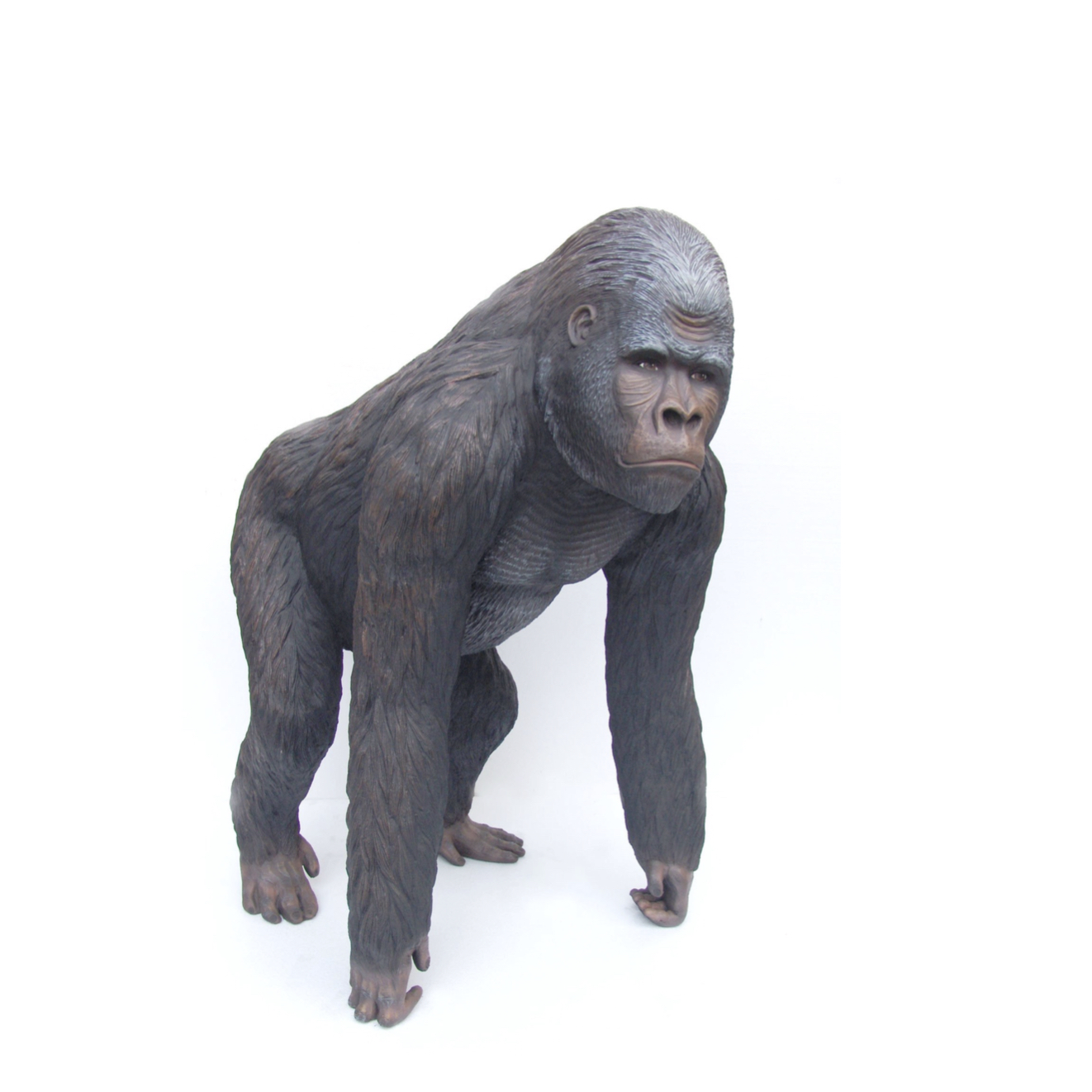 Figure – Gorilla 2 – iCatching, everything for events