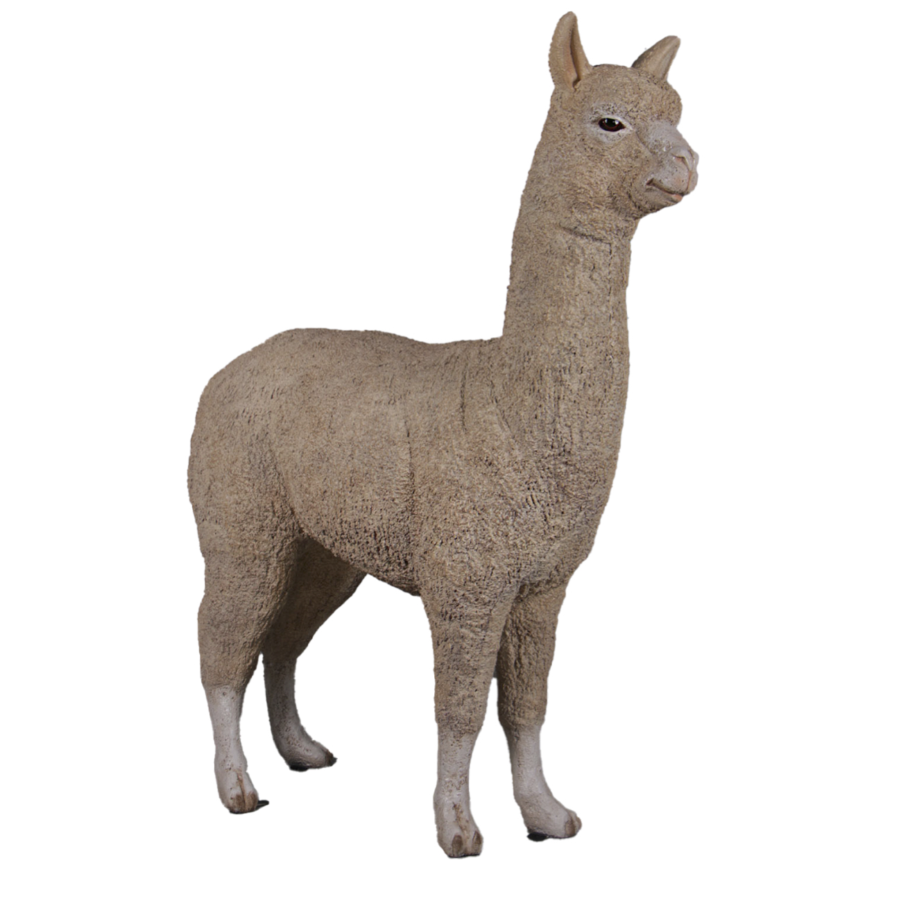 Figure – Llama – iCatching, everything for events