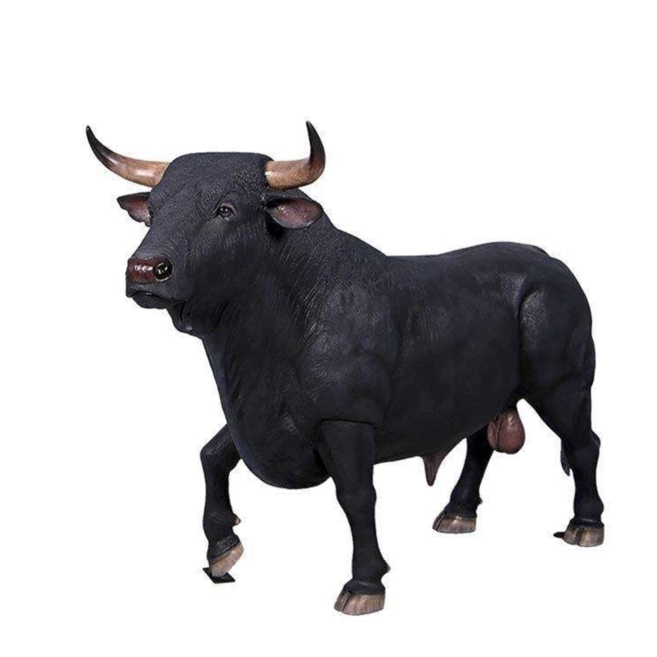 Spanish – iCatching, everything for events